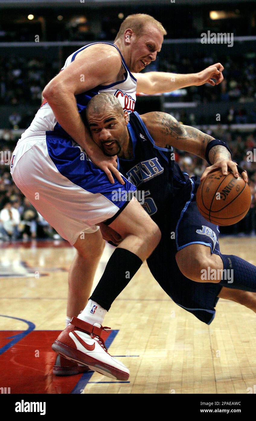 Carlos Boozer Shoes