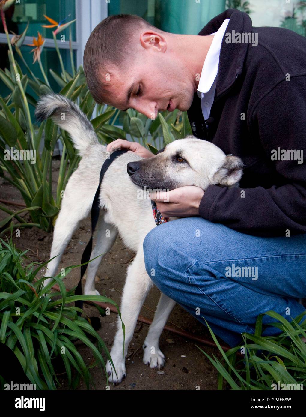 Marine Corps Capt. Eric Sjoberg, right, hugs Nubs after the dog arrived ...