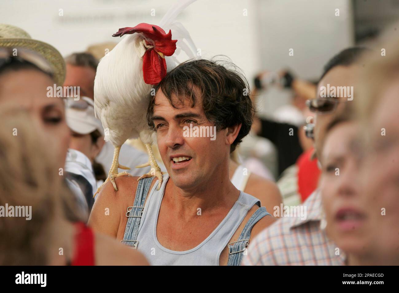 Miami Beach attraction Mark Buckley and his rooster, Mr Clucky, watch ...