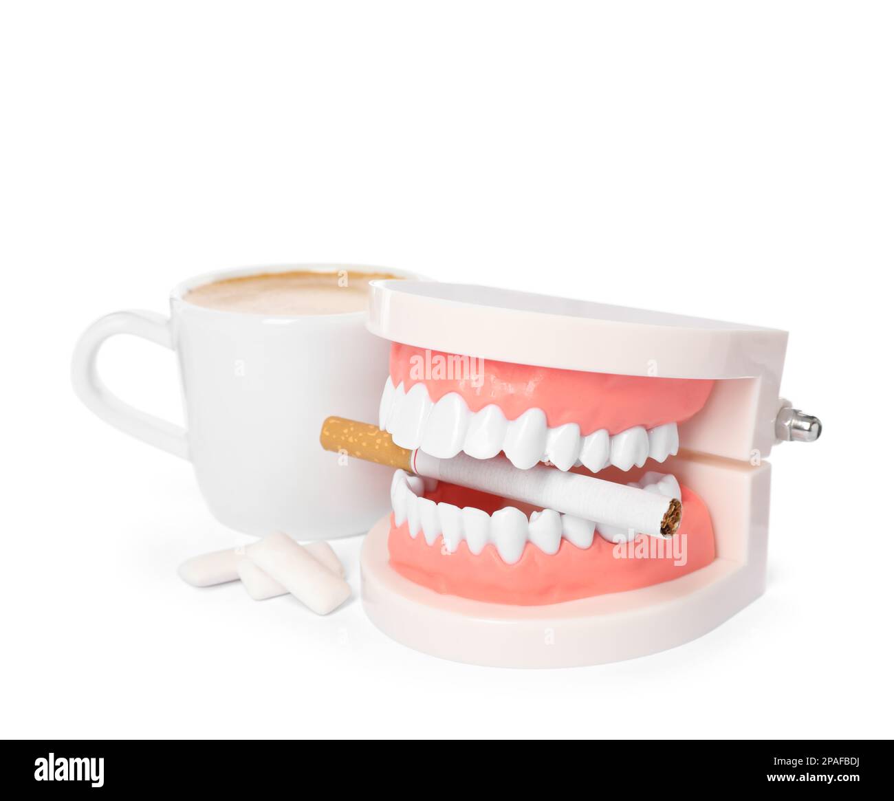 Typodont teeth with cigarette, chewing gums and coffee on white ...
