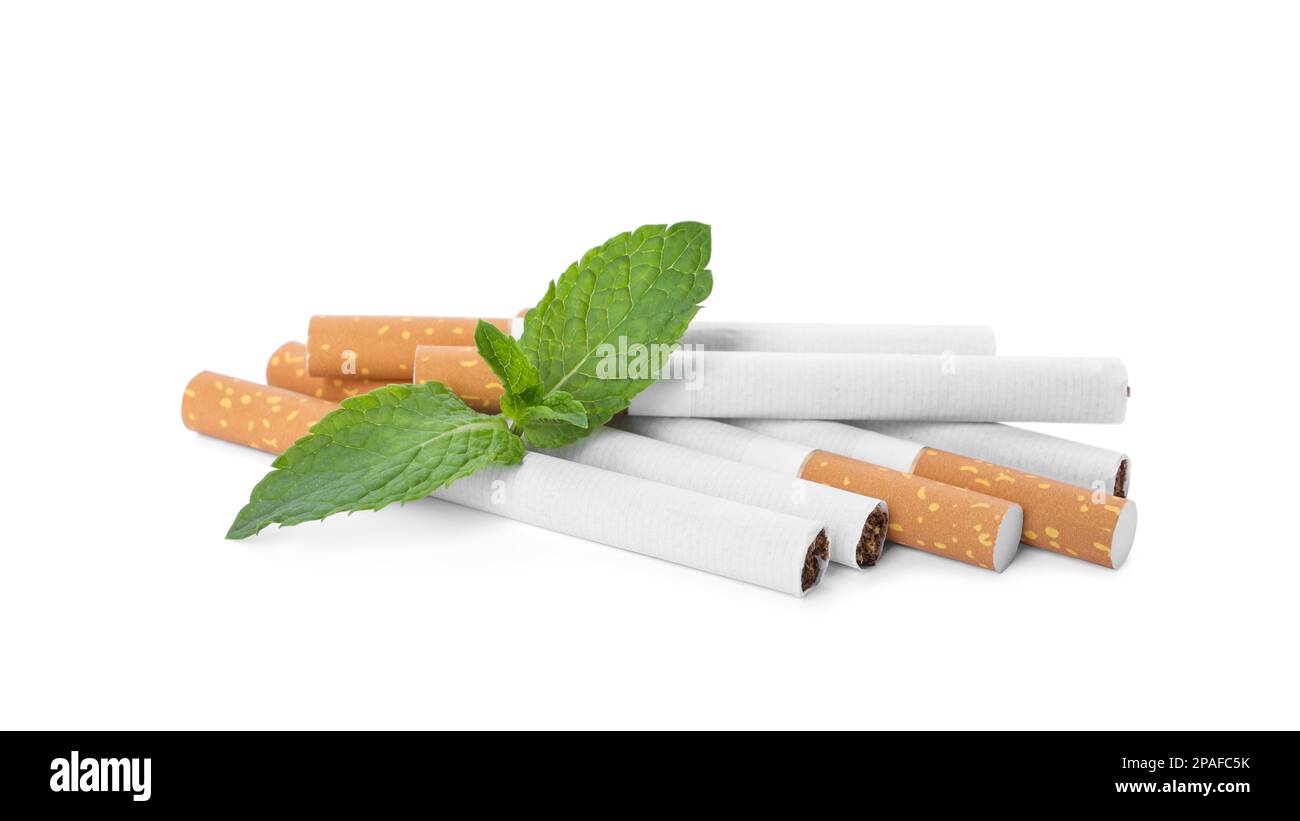 Menthol cigarettes and fresh mint leaves on white background Stock ...