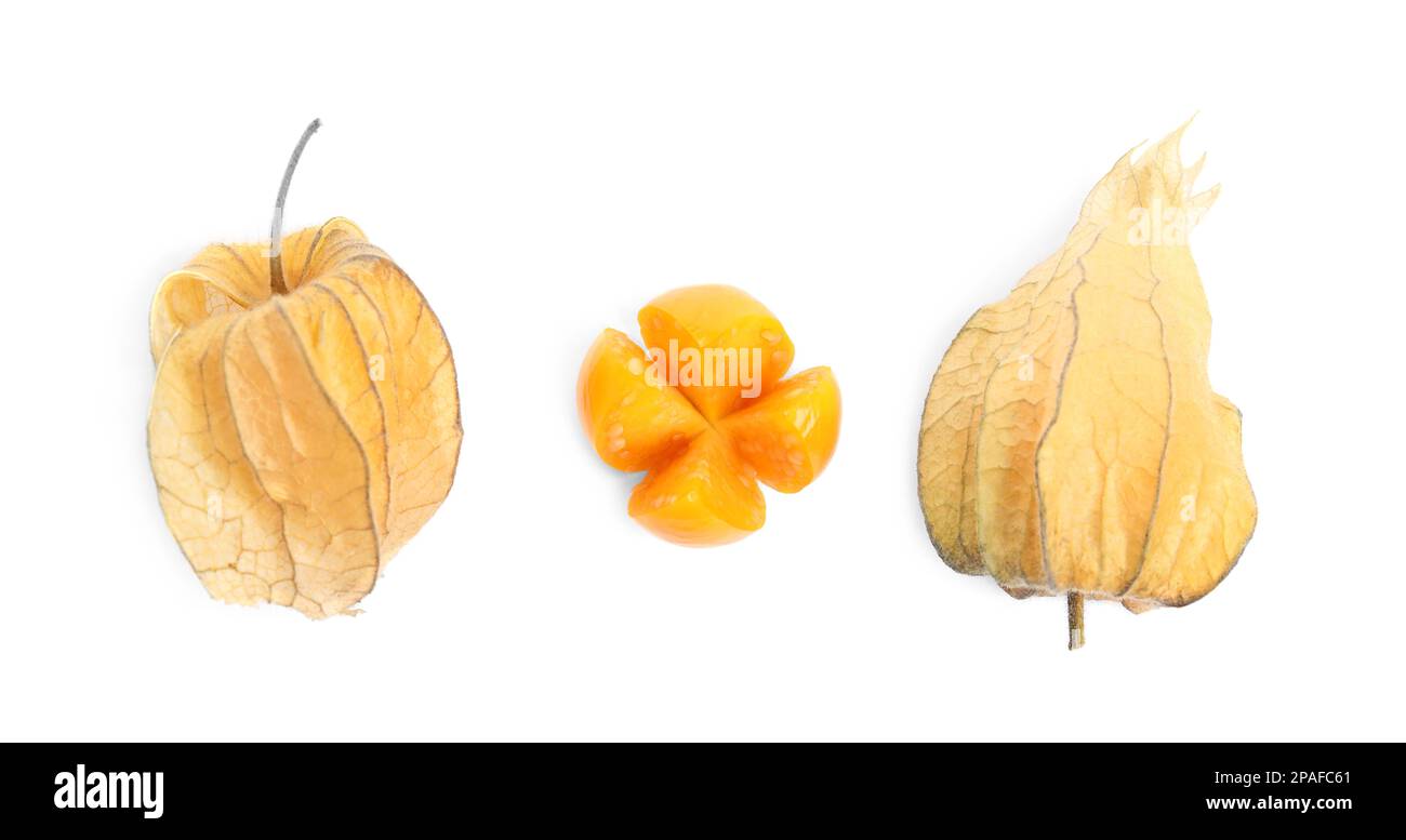 Cut and whole ripe physalis fruits with dry husk on white background ...