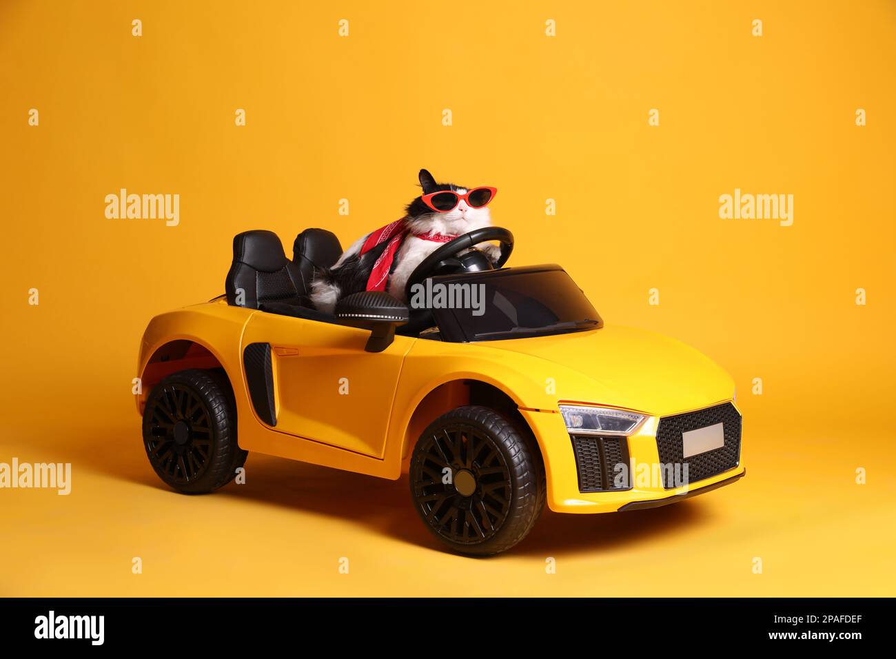 Funny cat with sunglasses in toy car on yellow background Stock Photo ...