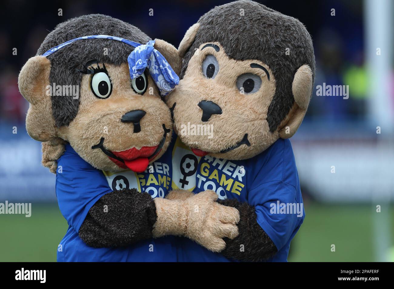 Hartlepool united mascot hi-res stock photography and images - Alamy