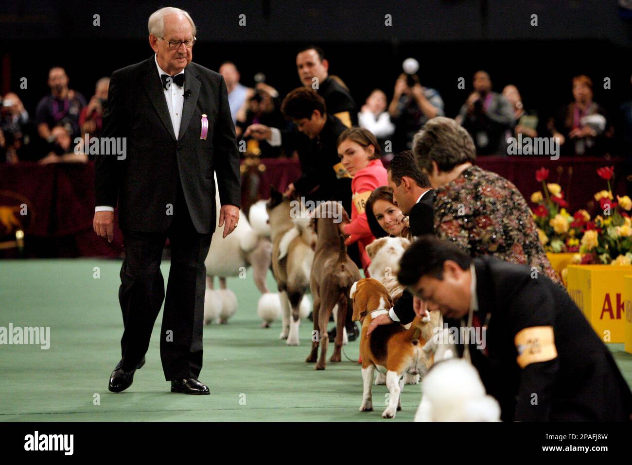 Judge J. Donald Jones, left, looks at Uno, a 15-inch beagle, during the ...