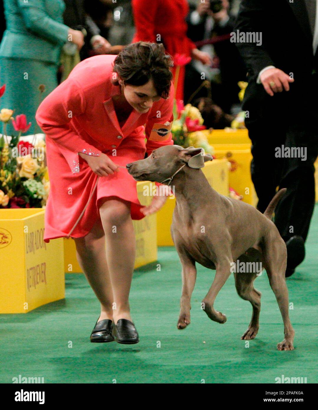 Marge, a weimaraner, and her owner Alessandra Folz celebrate winning ...