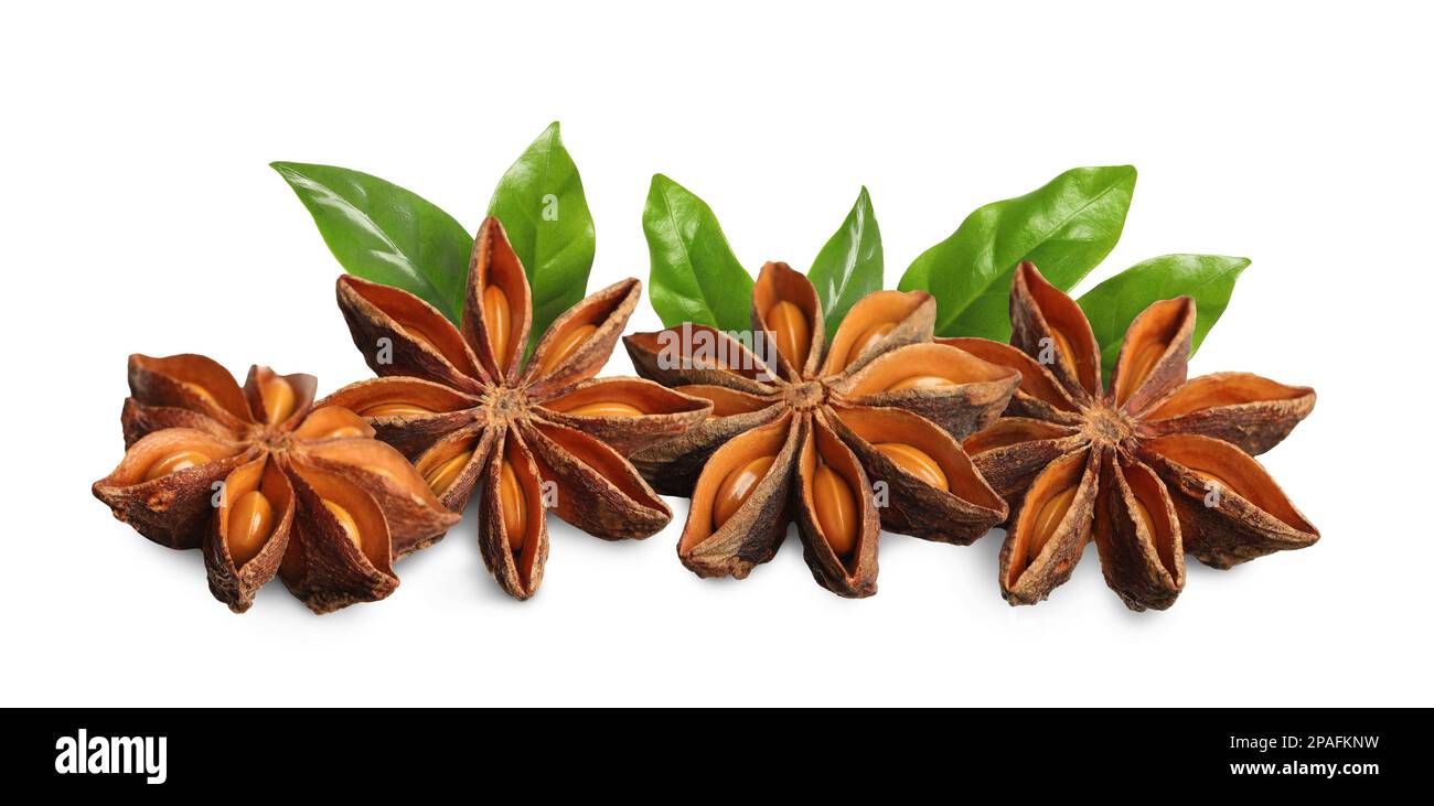 Aromatic dry anise stars and green leaves on white background. Banner ...