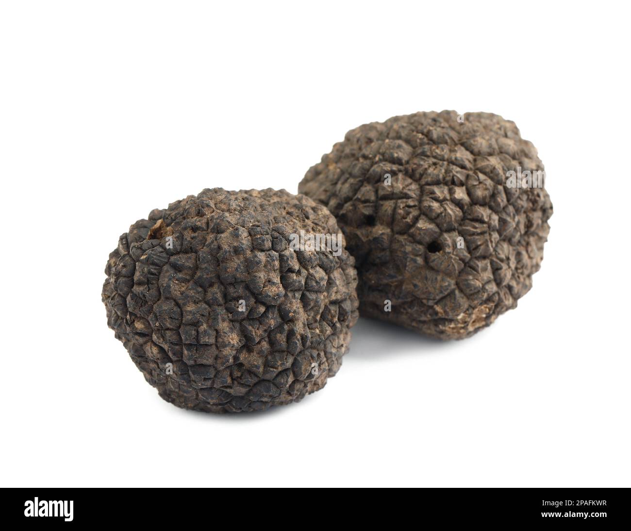 Fresh whole black truffles isolated on white Stock Photo - Alamy
