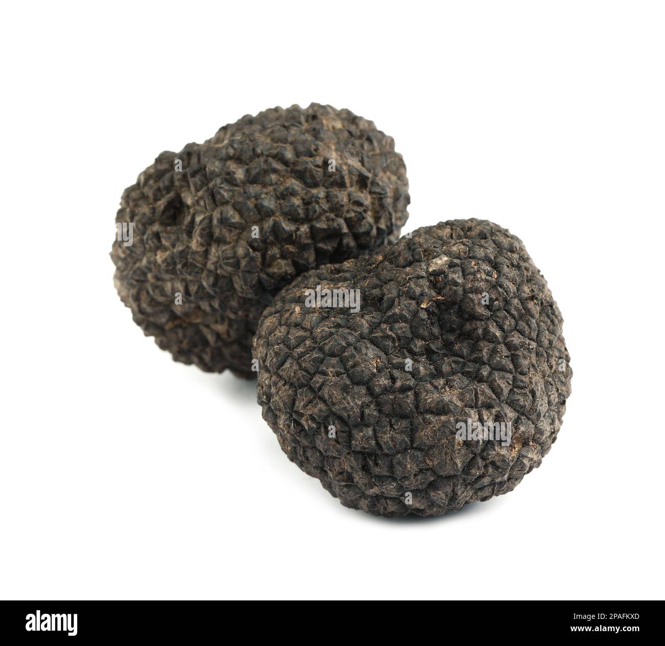 Fresh whole black truffles isolated on white Stock Photo - Alamy