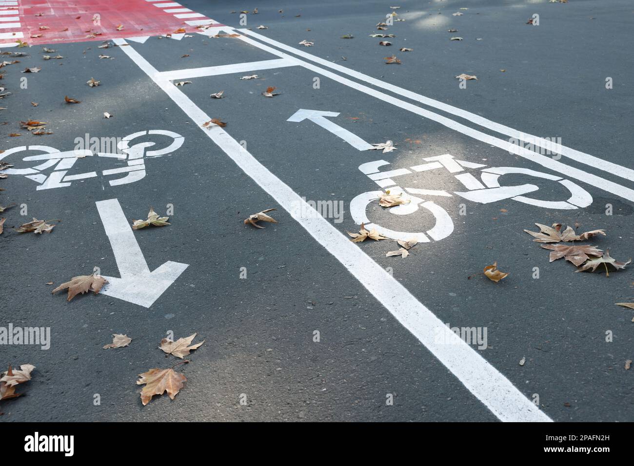 Two way bicycle lane with white signs on asphalt Stock Photo - Alamy