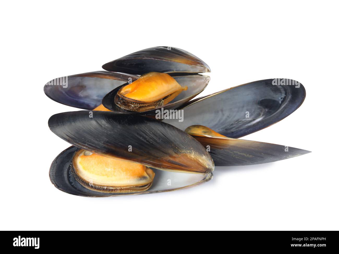 Delicious cooked mussels in shells on white background Stock Photo - Alamy