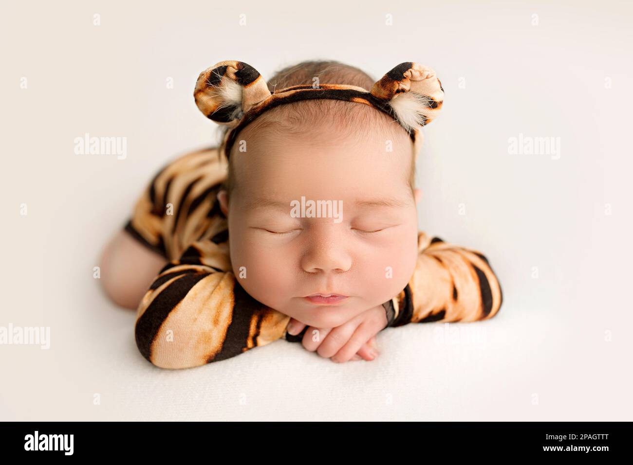 Baby tiger sleeping hi-res stock photography and images - Alamy