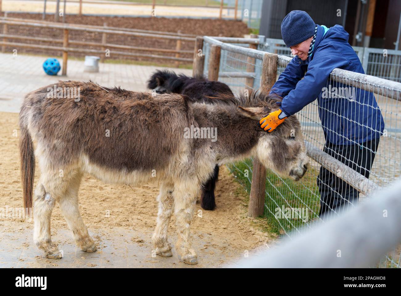 Zoo volunteer opportunities hi-res stock photography and images - Alamy