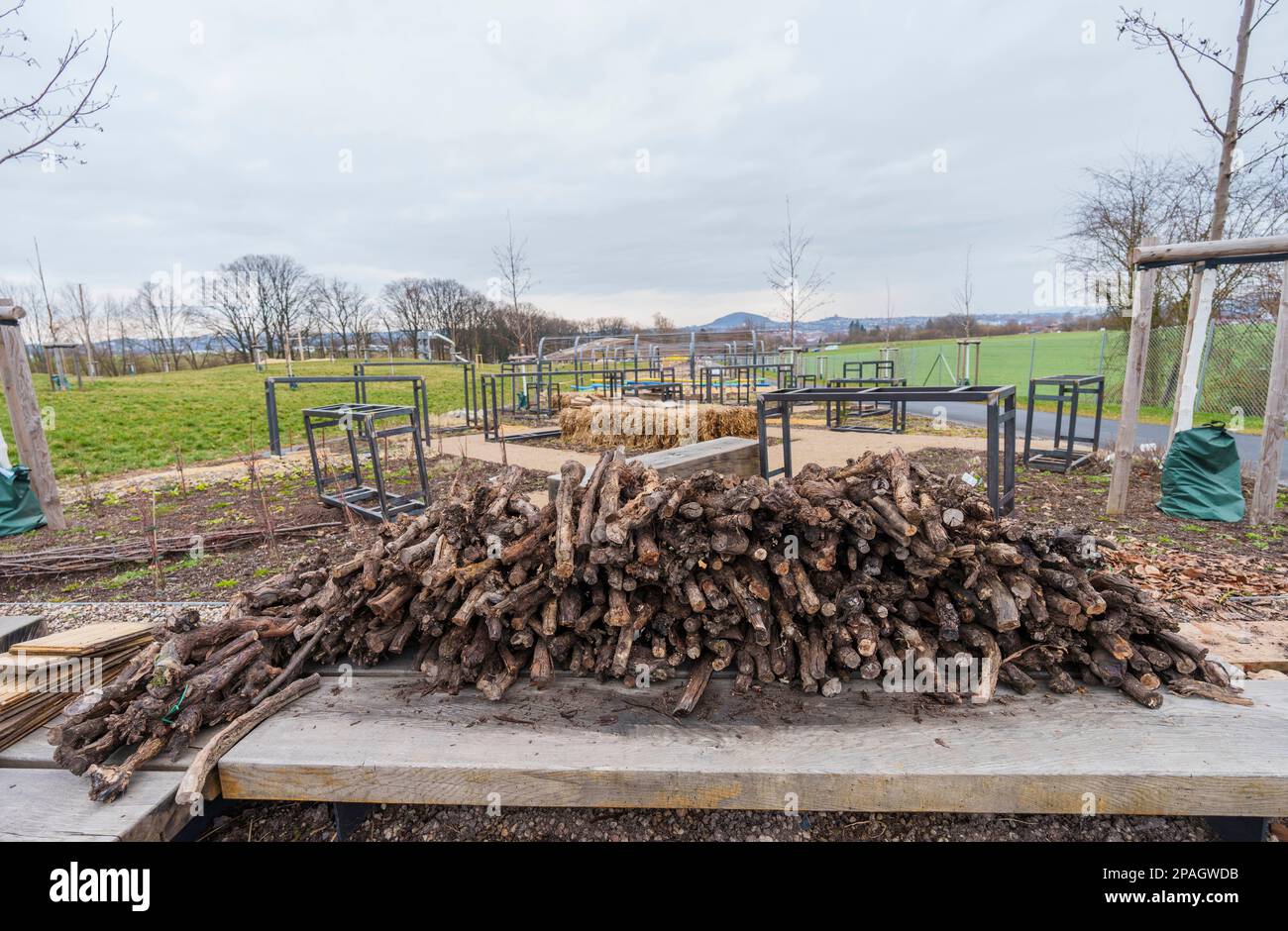 Fulda, Germany. 07th Mar, 2023. Wood is ready for the work on the ...