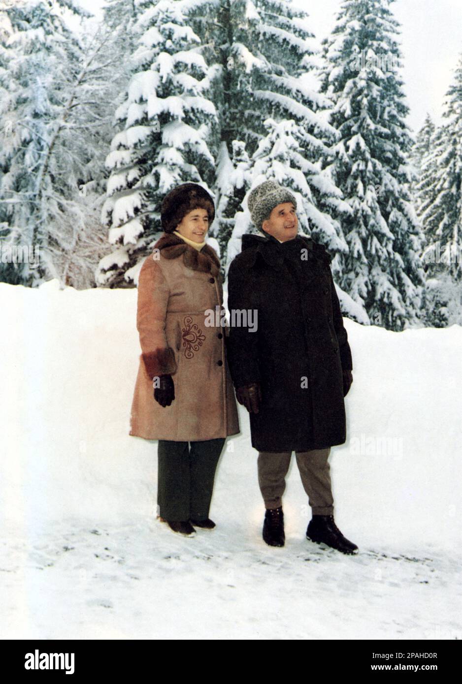 The Romania politician and dictator NICOLAE CEAUSESCU ( January 26 ...