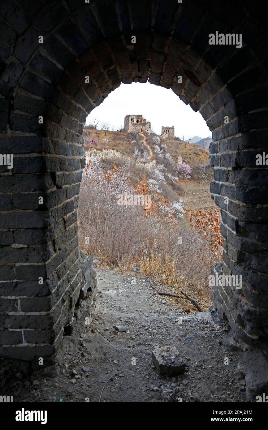 Original ecological culture hi-res stock photography and images - Alamy