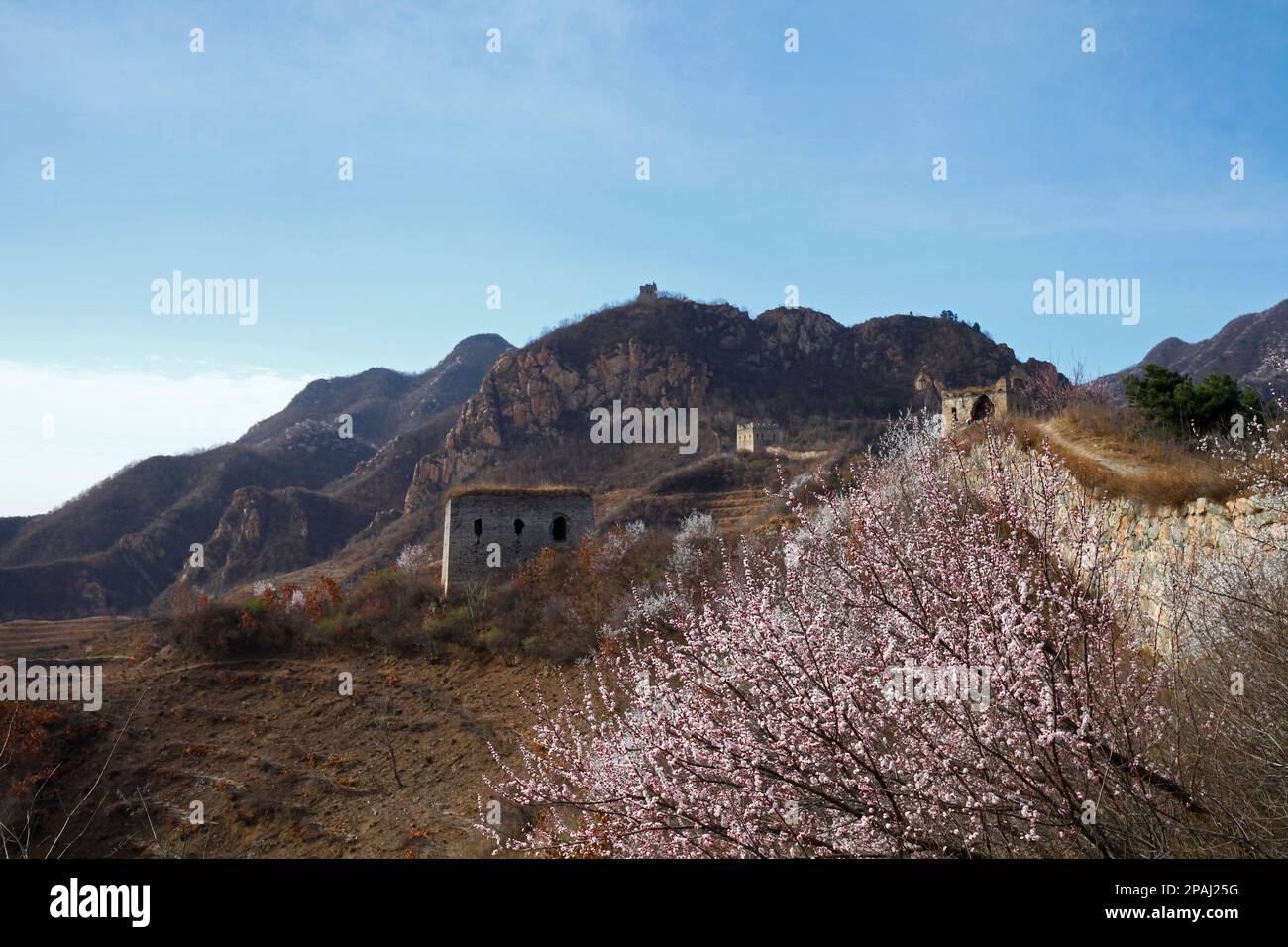 The original ecological culture hi-res stock photography and images - Alamy