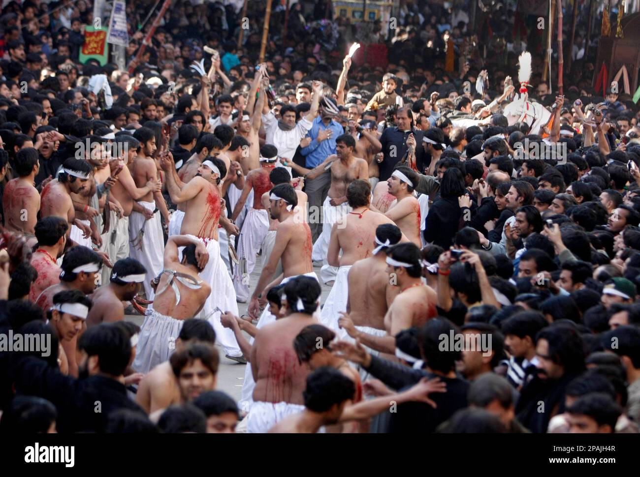 Pakistani Shia Muslims flail themselves with knife blades as part of ...