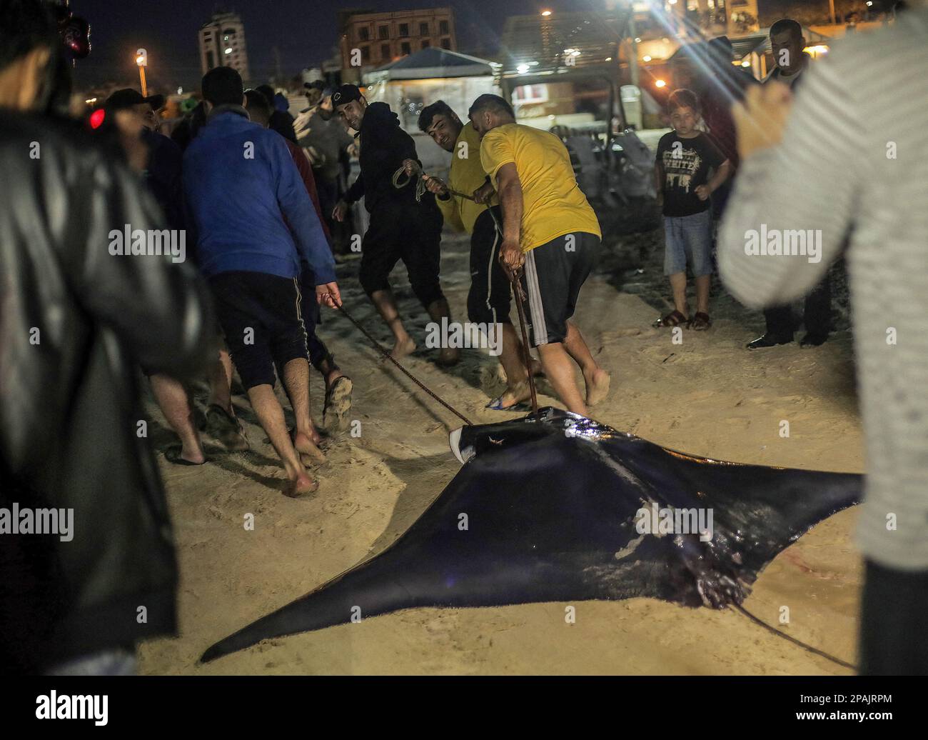 Gaza, Palestine. 11th Mar, 2023. Palestinian fishermen pull out a catch ...