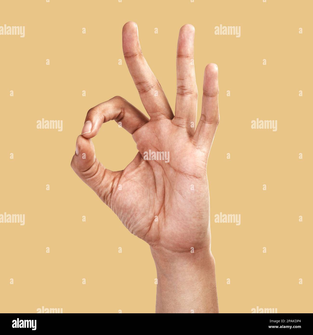 Hands, perfect and ok sign of person in support, vote or approve ...