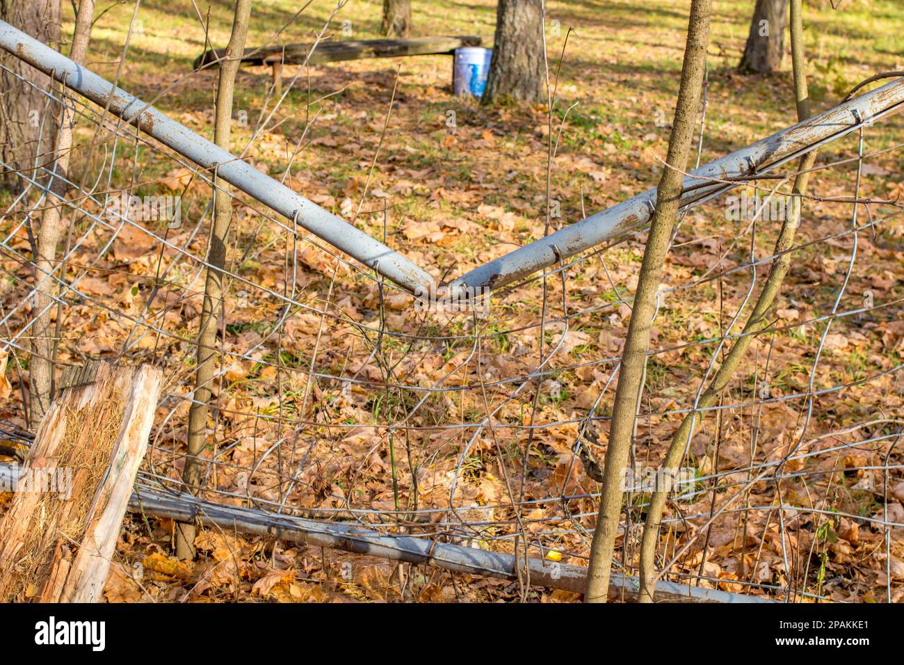 Broken trumpet hi-res stock photography and images - Alamy