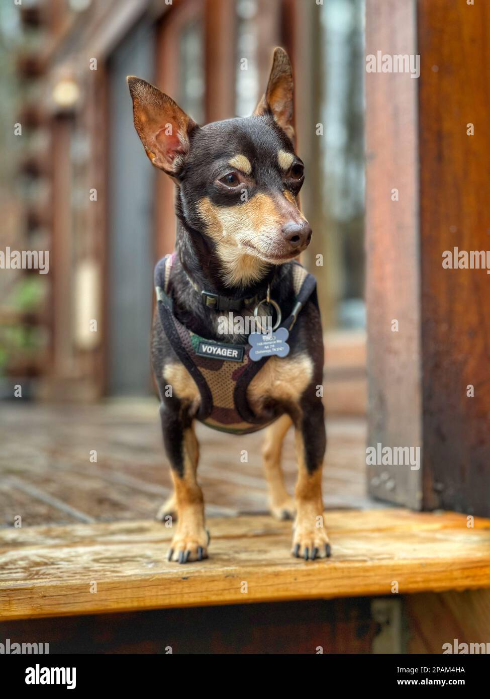 I am on vacation hi-res stock photography and images - Alamy