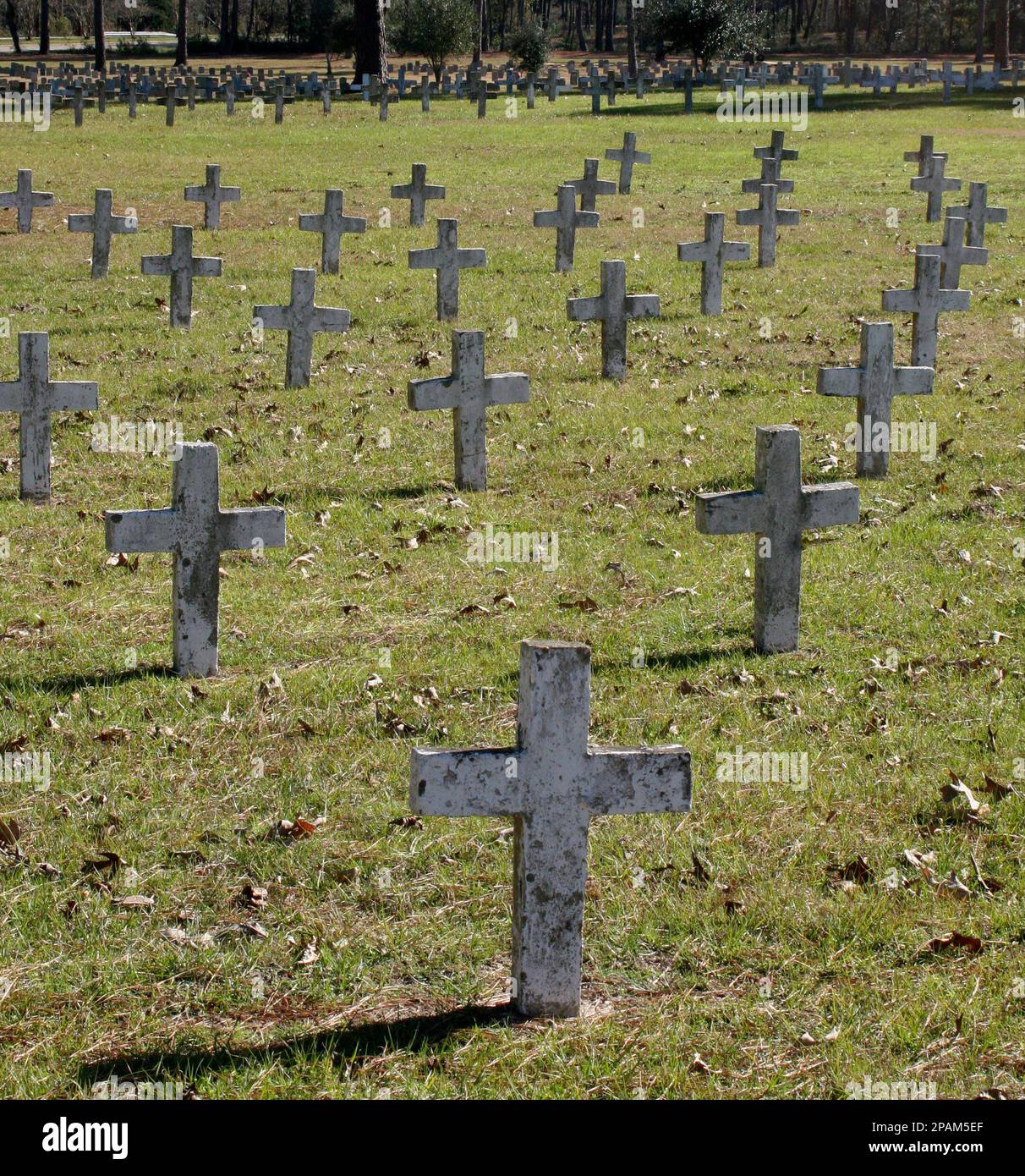 The Texas prison cemetery known as Peckerwood Hill is shown Monday, Dec ...
