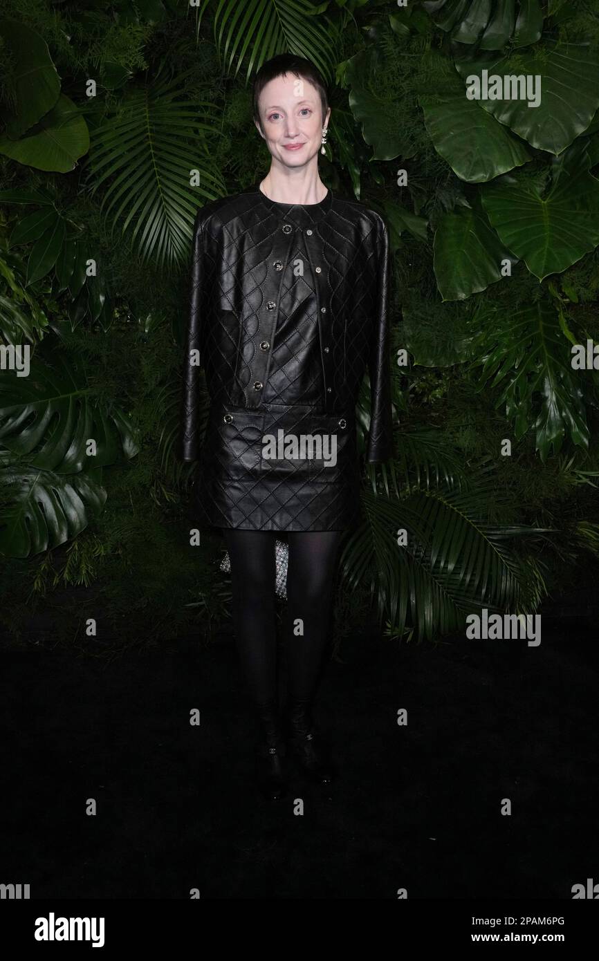 Andrea Riseborough arrives at 14th annual Pre-Oscar Awards Dinner on ...