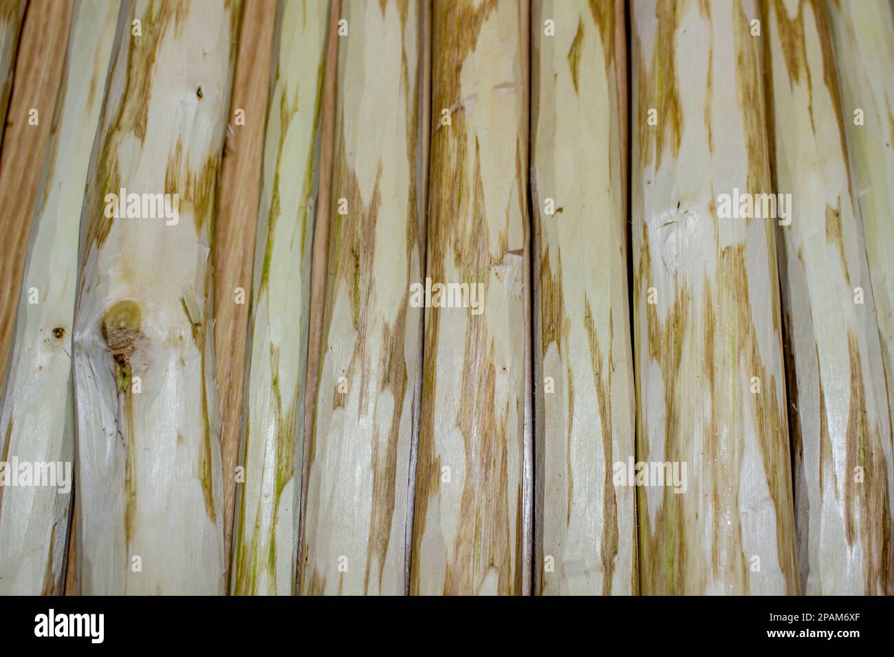 Background in the form of hazel wood Stock Photo - Alamy