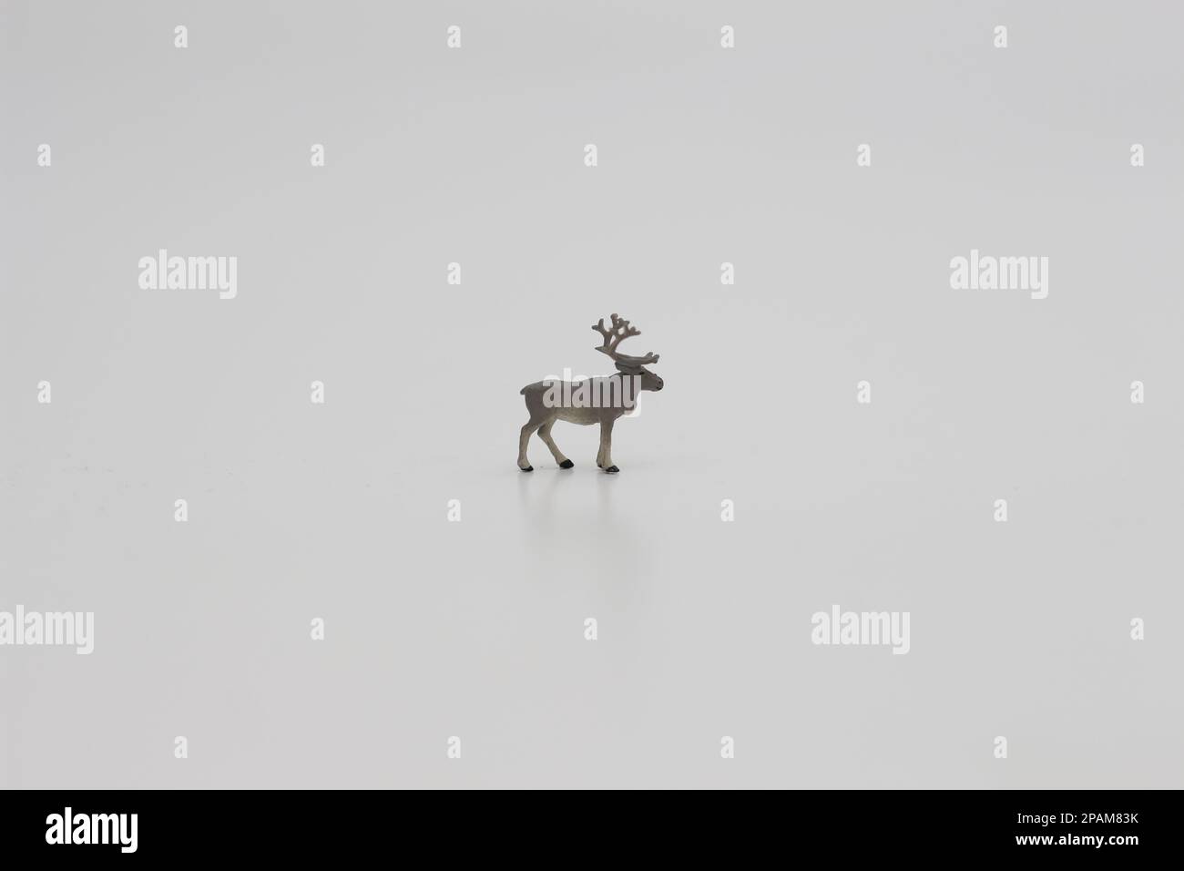 a close up of a miniature figure of a moose isolated on a white ...