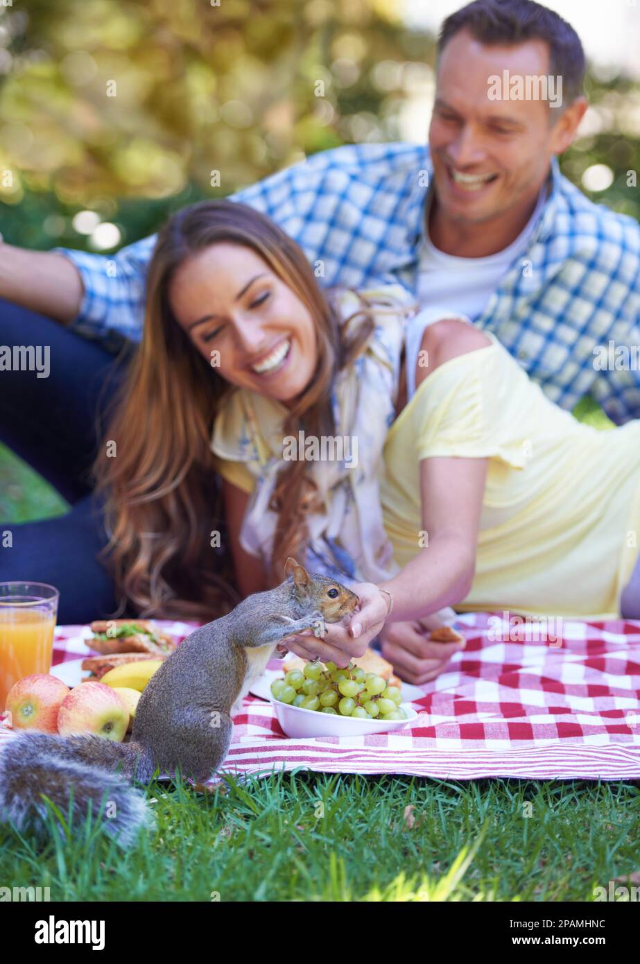 Sharing a romantic picnic with that special someone. an affectionate ...