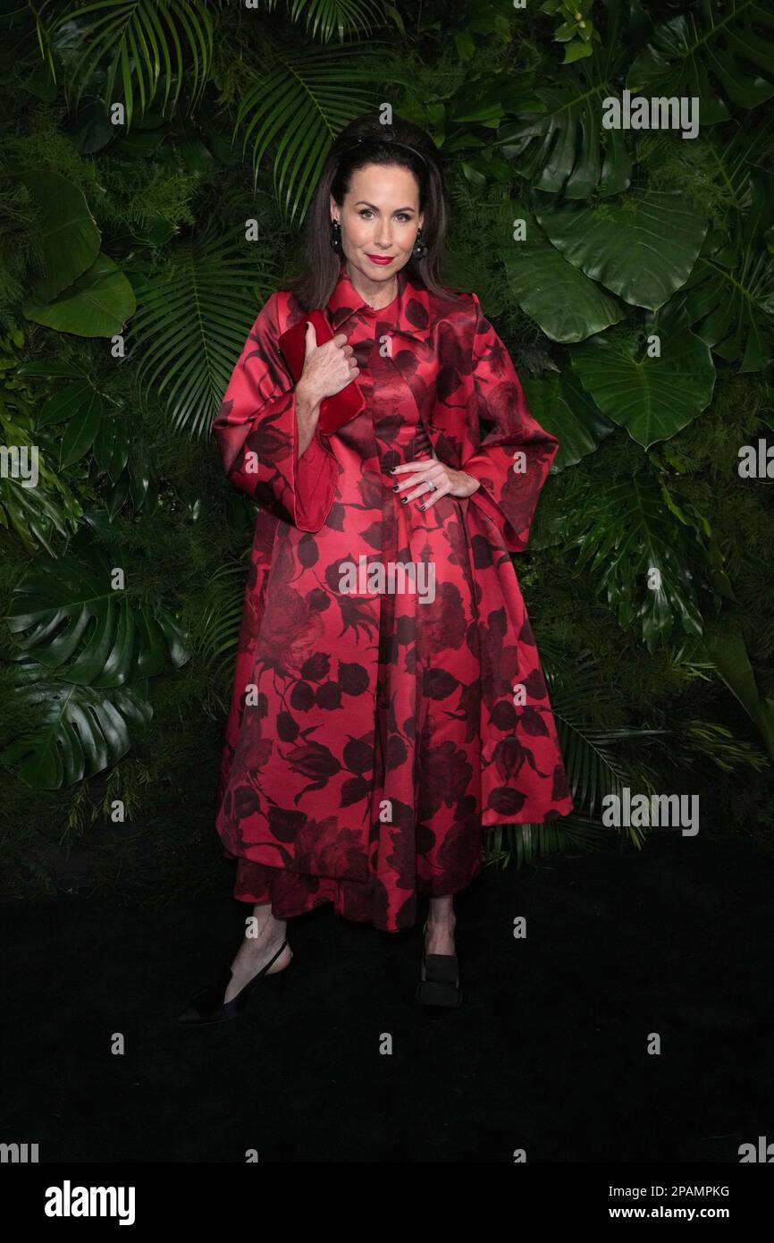 Minnie Driver arrives at 14th annual Pre-Oscar Awards Dinner on ...