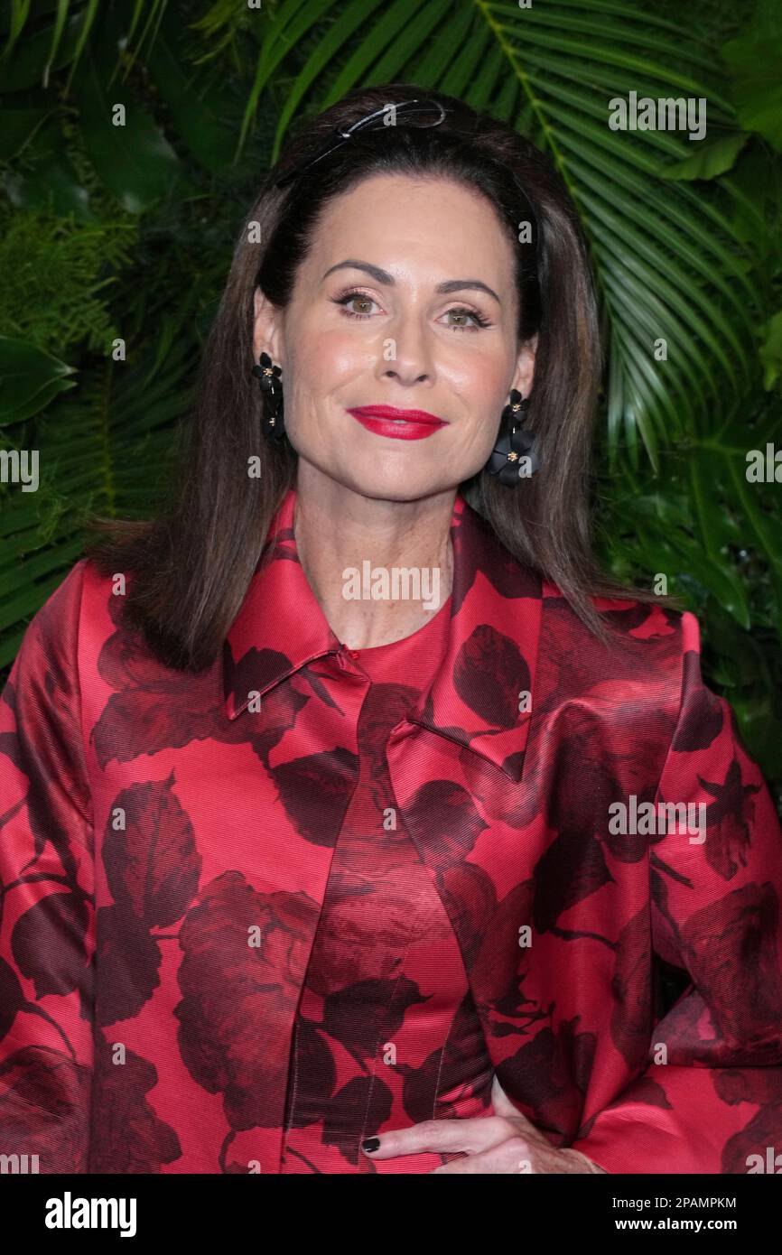 Minnie Driver arrives at 14th annual Pre-Oscar Awards Dinner on ...