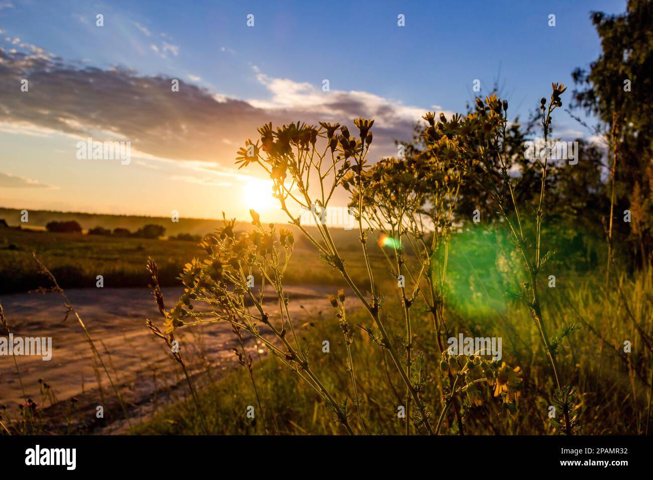 Bright yellow sunset hi-res stock photography and images - Alamy