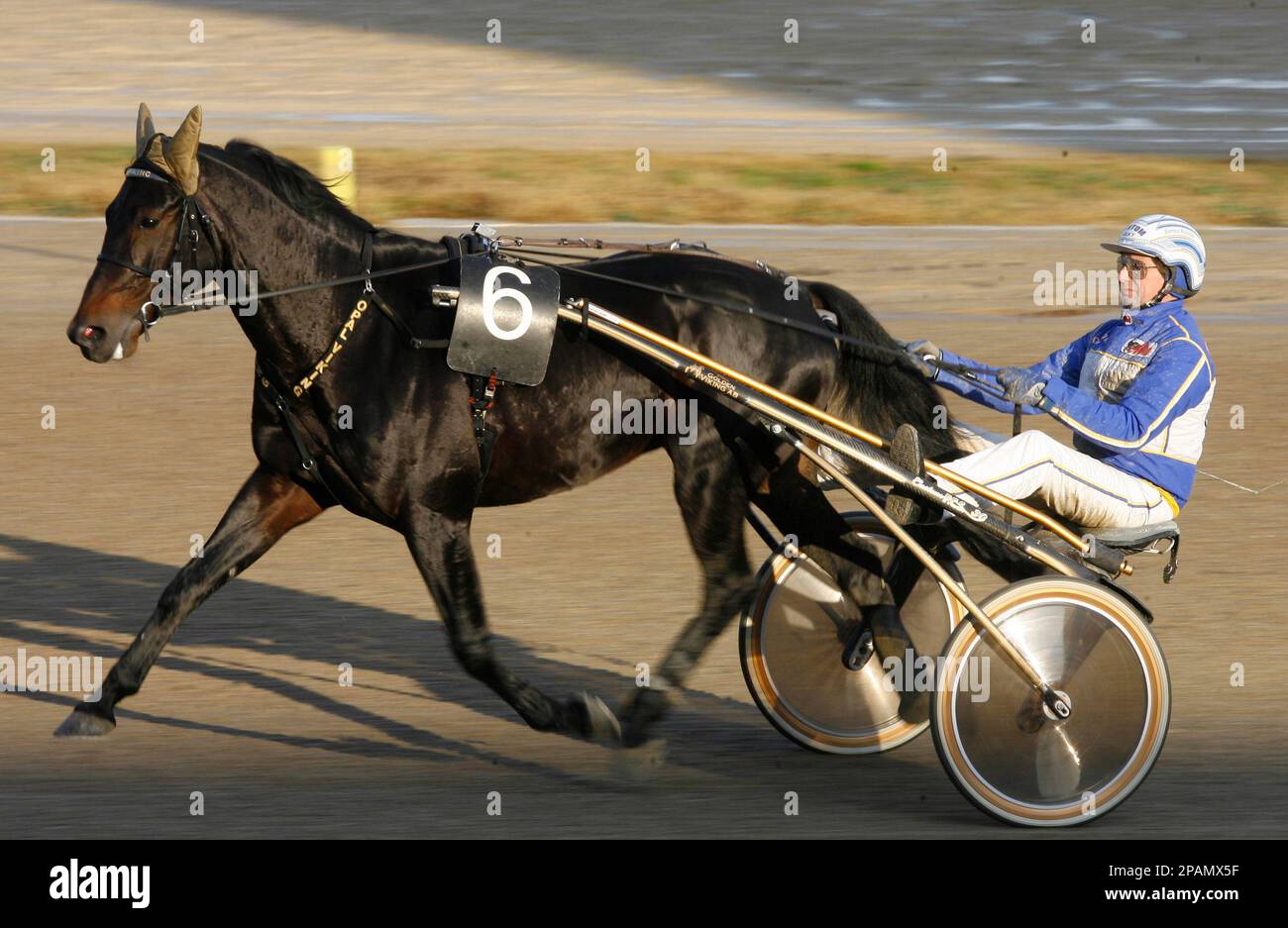 Driver Jorma Kontio on horse Opal Viking trains prior to the start of ...