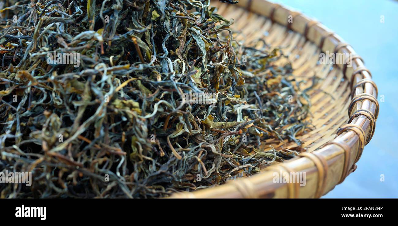 Green Tea leaves drying in a wicker basket Stock Photo - Alamy