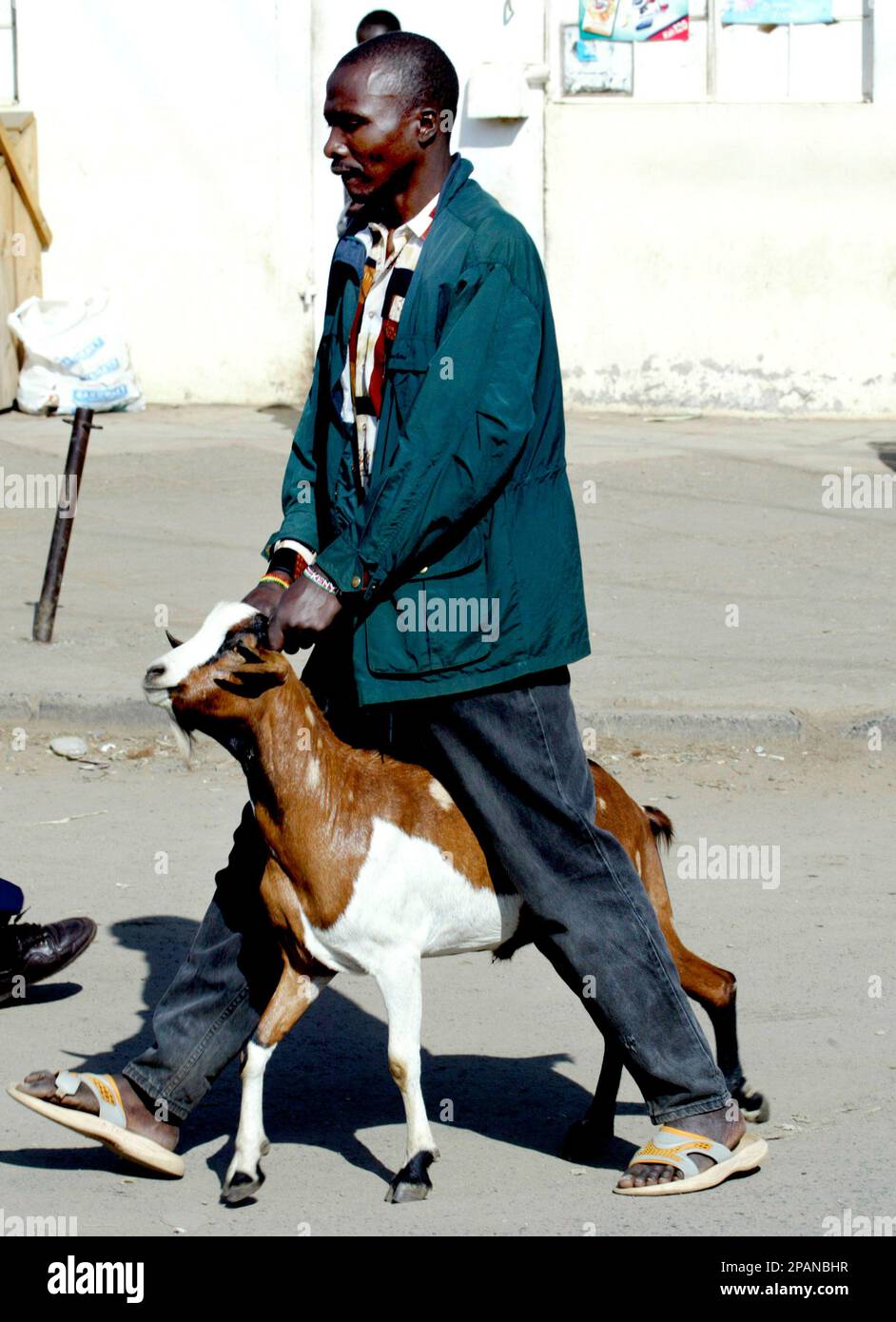 A Kenyan Muslim takes his goat for sacrifice Wednesday, Dec. 19, 2007 ...