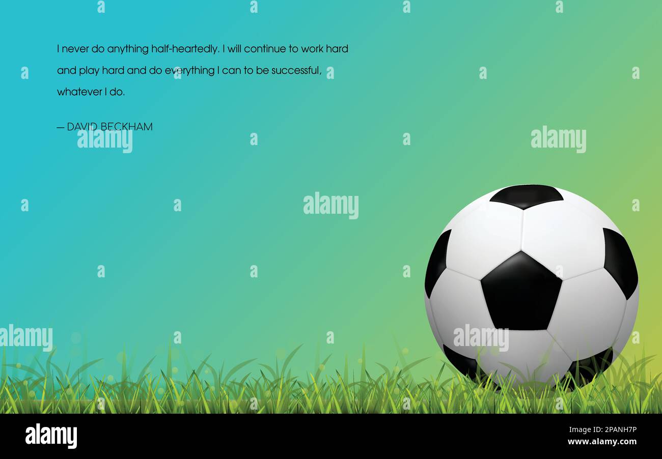 David beckham illustration hi-res stock photography and images - Alamy