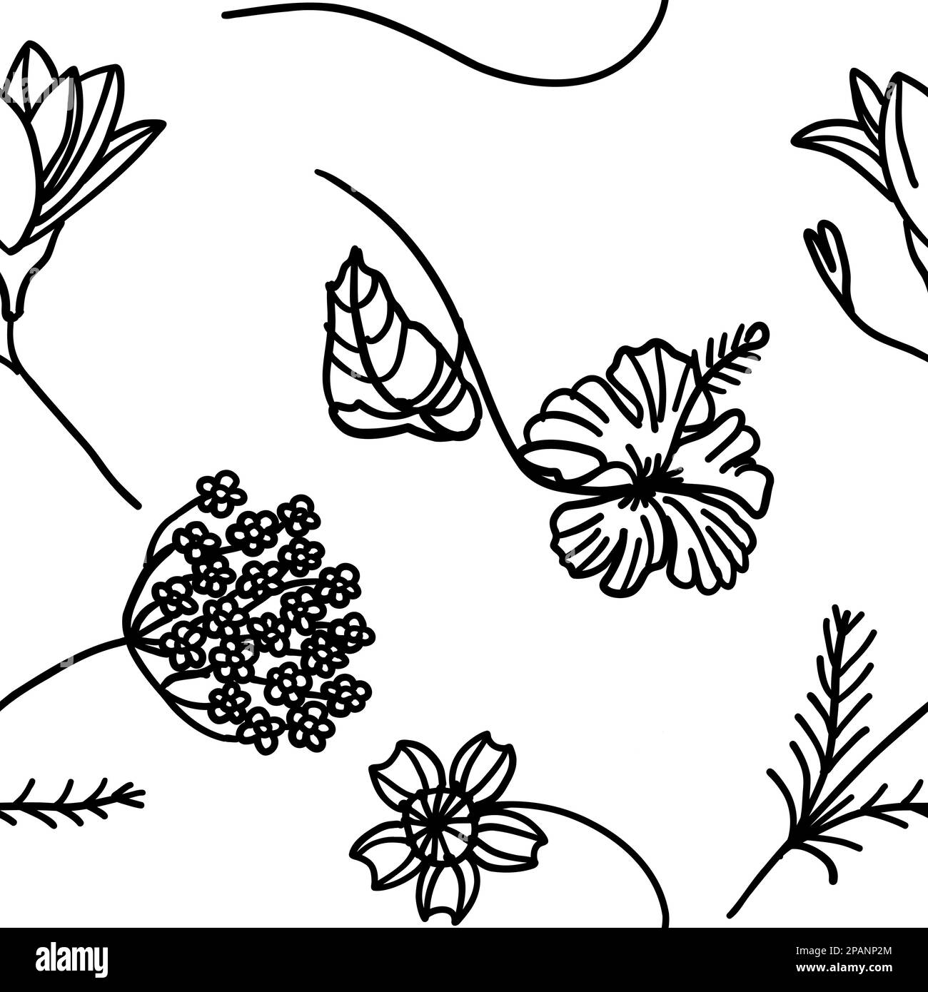 Flower in outline doodle flat style. Simple floral element plant leaves decorative design. Hand ...
