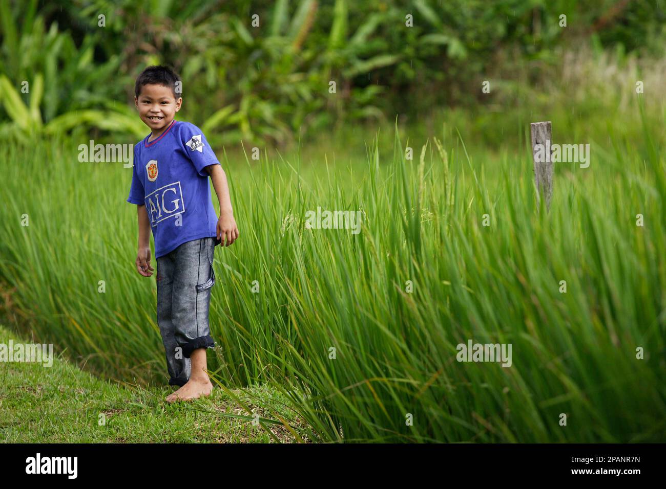 A Penan child smiles next to rice fields at a resettlement village in ...