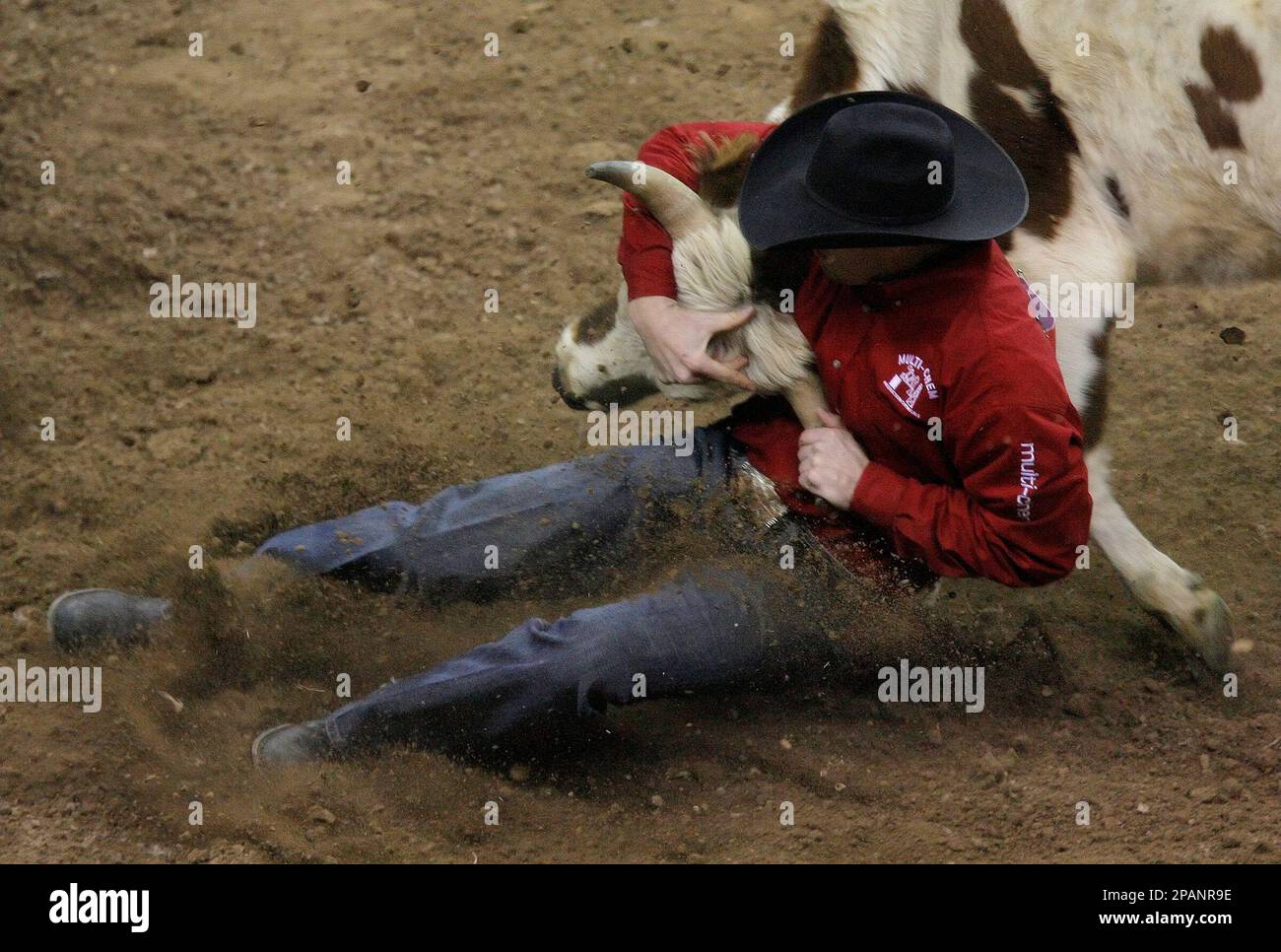 Casey McMillen, of Craig, Colo., wrestles a steer during the ninth go ...