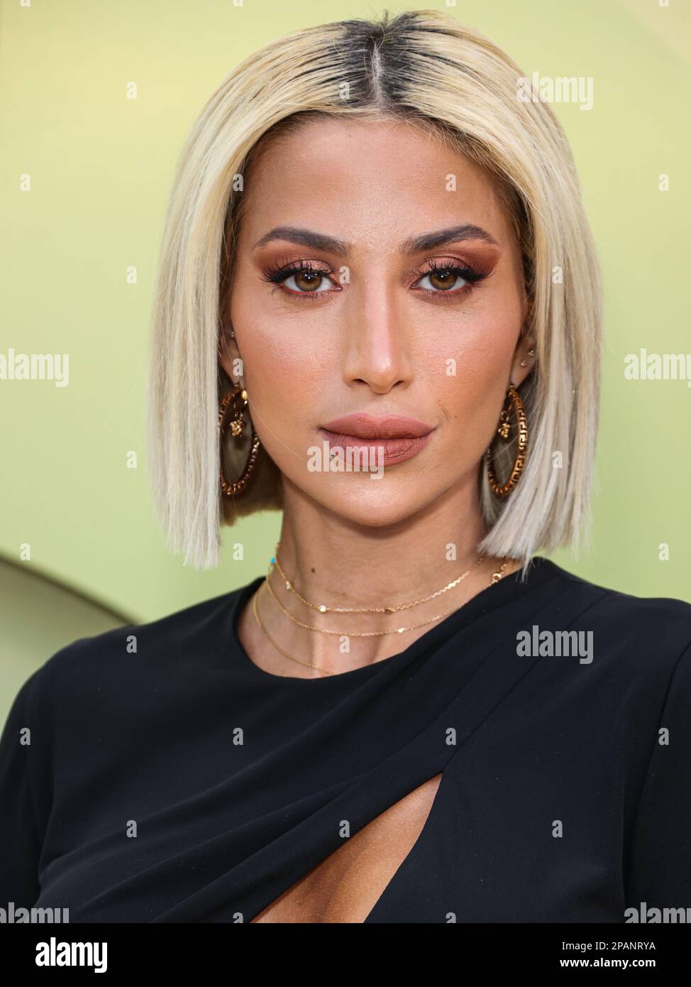 WEST HOLLYWOOD, LOS ANGELES, CALIFORNIA, USA - MARCH 09: Model Roz ...