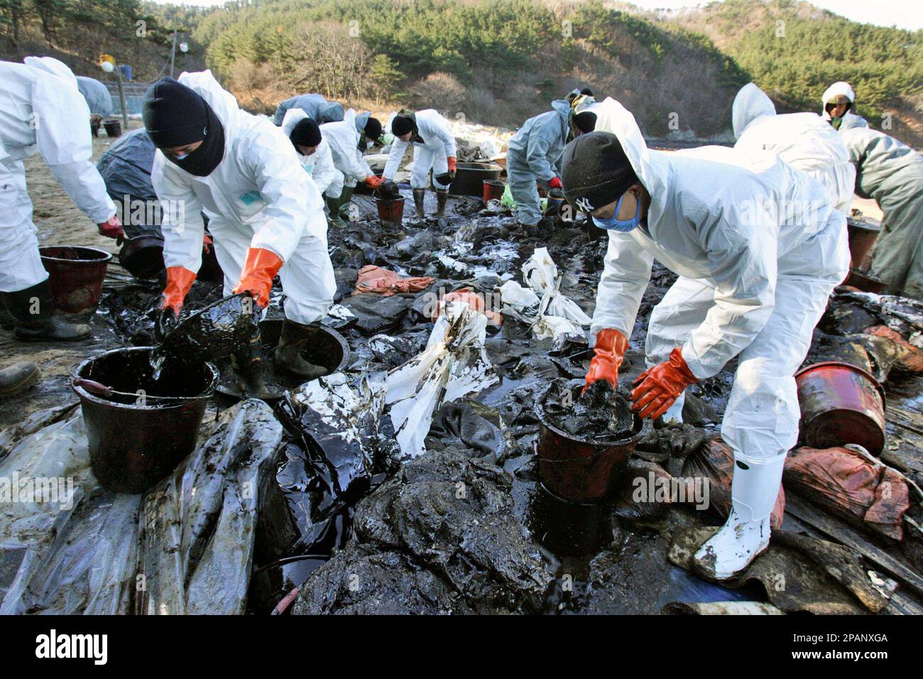 South Korean Army soldiers remove dense crude oil off a beach at Taean ...