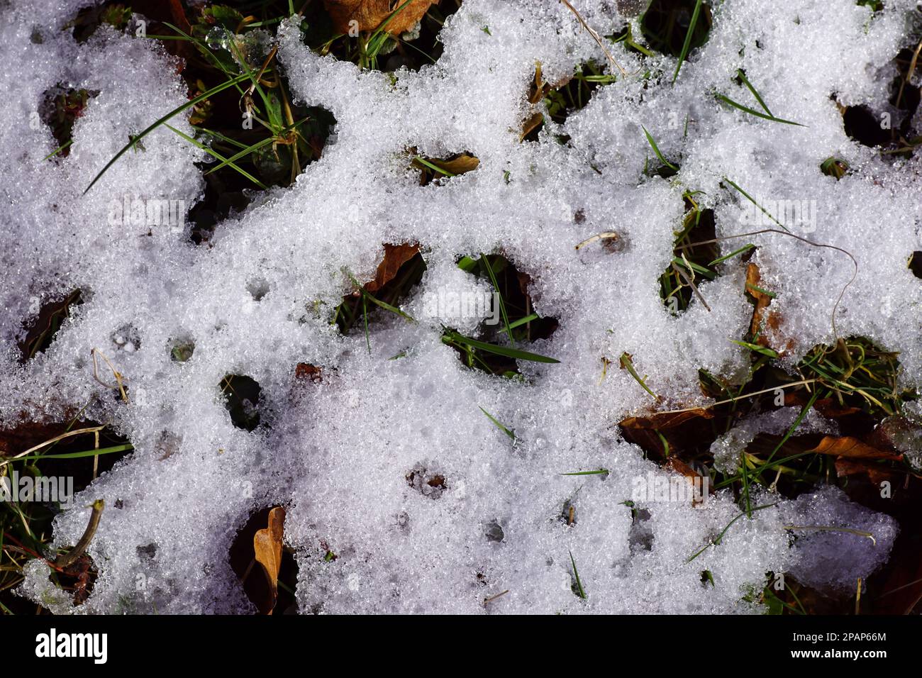 Closeup soil with grass and withered leaves partially covered by ...