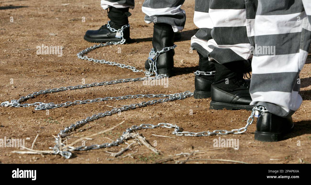 Members of the Maricopa County DUI chain gang line up for work Tuesday ...