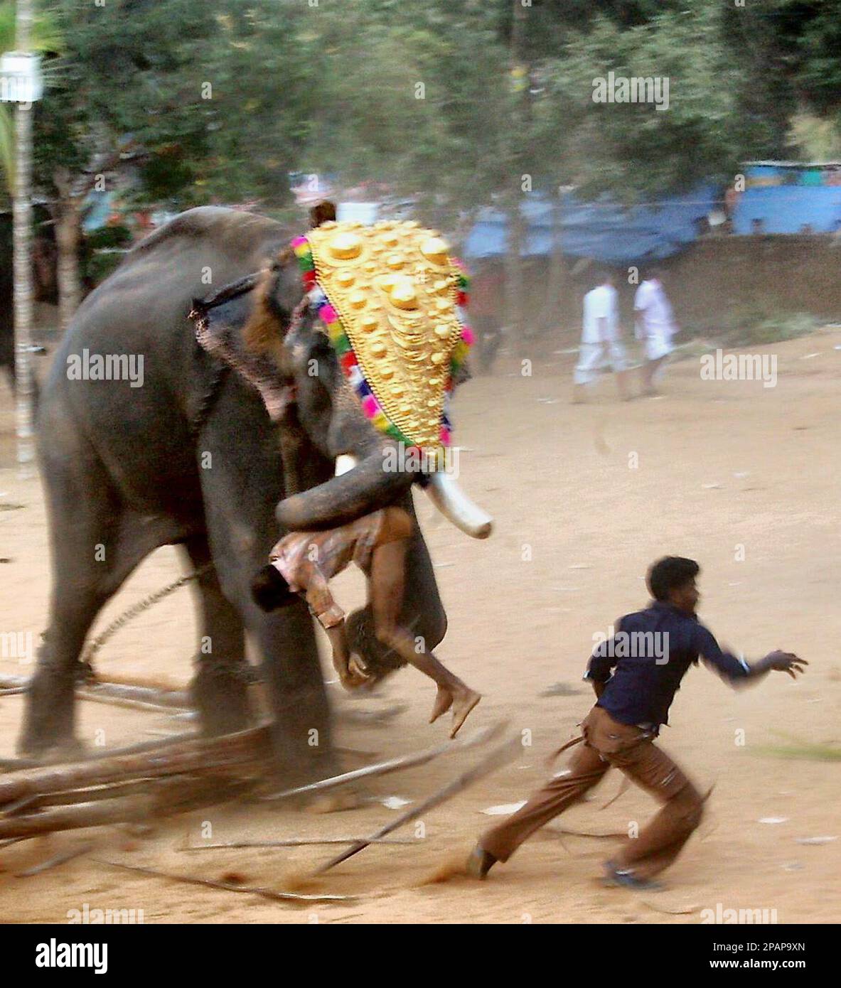 Elephant Attack In Kerala Temple