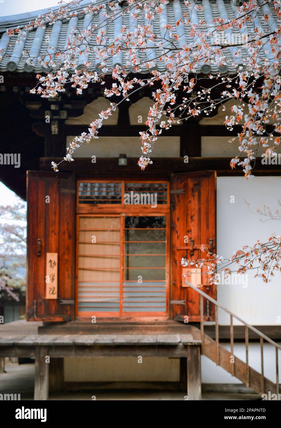Nara, Japan - Apr 11, 2019. Scenery of cherry blossoms at Todaiji ...