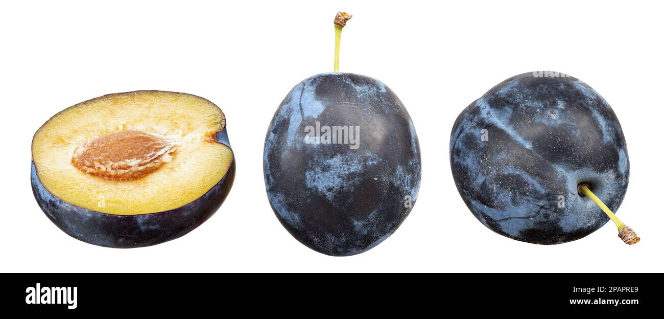 Fresh plum set isolated on white background. Package design element ...