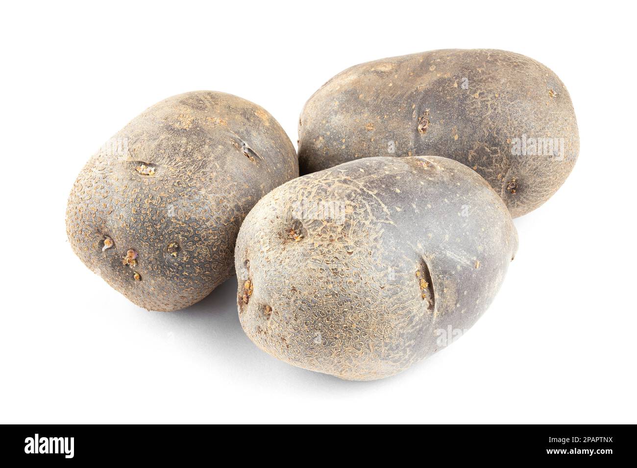 Fresh purple potatoes isolated on white background. Full depth of field ...