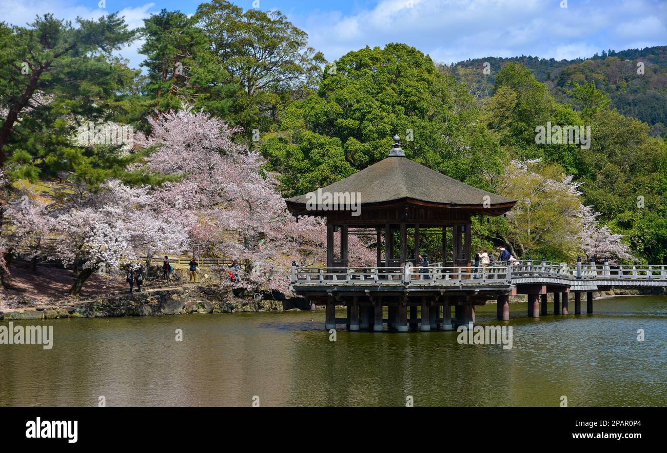 Nara, Japan - Apr 11, 2019. Hexagonal gazebo floating over the Sagiike ...